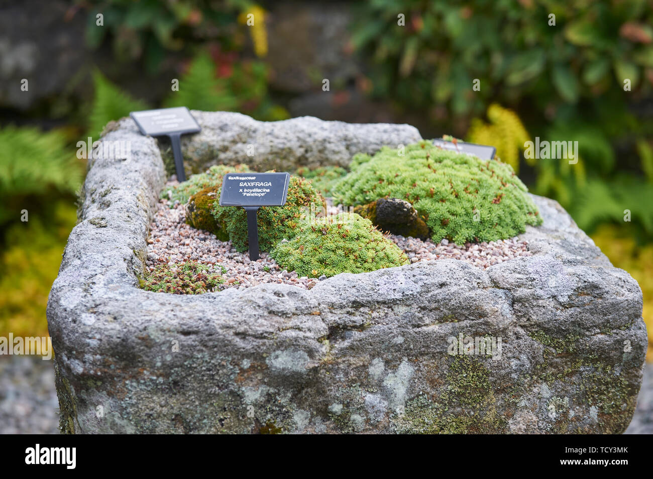 Stone troughs hi-res stock photography and images - Alamy