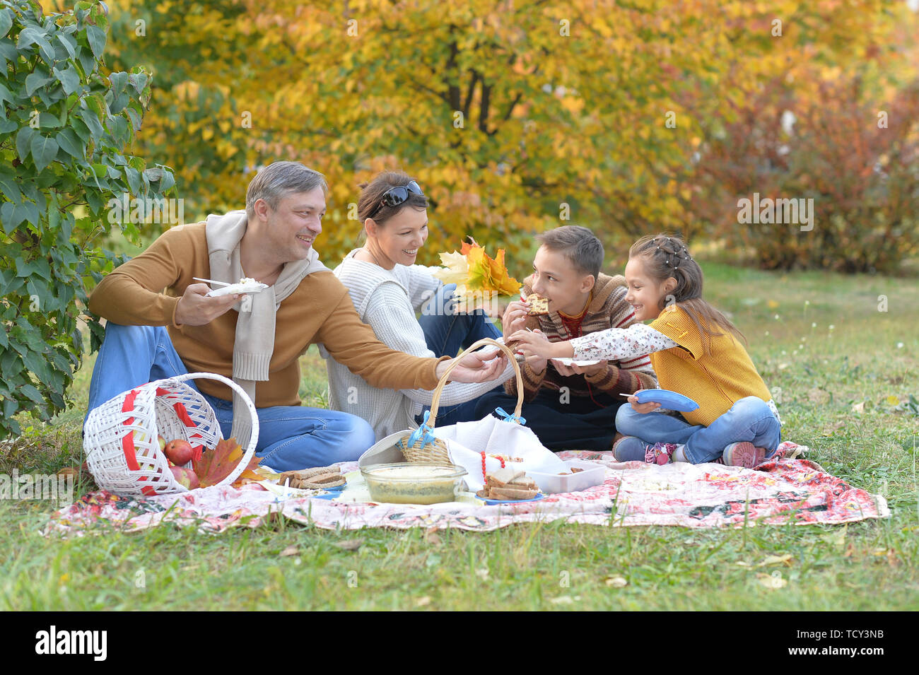 Family reunion park fun hi-res stock photography and images - Alamy