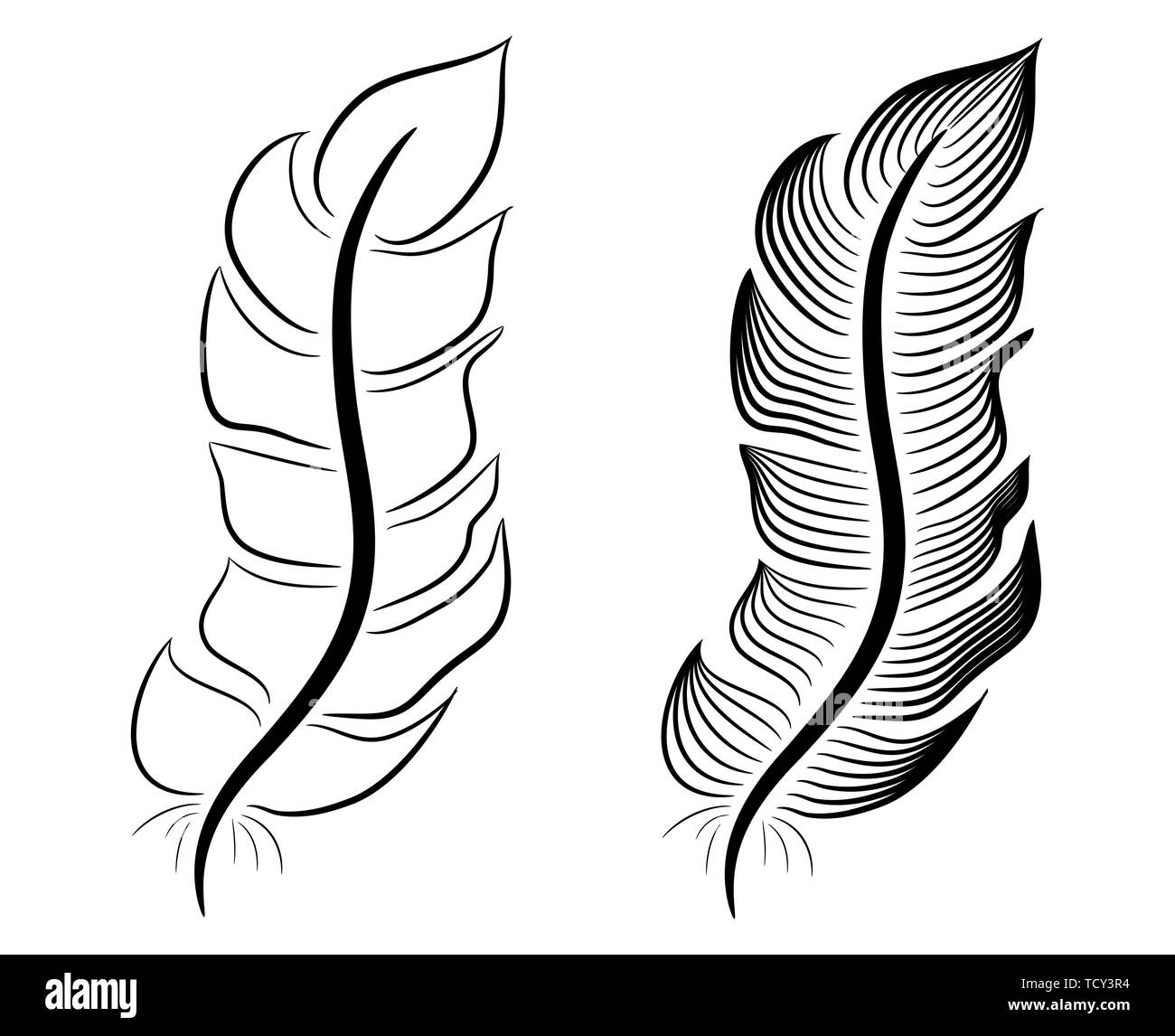 Collection of feather illustration, drawing, engraving, ink line art ...