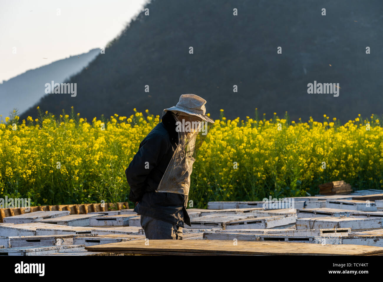 Loping hi-res stock photography and images - Alamy