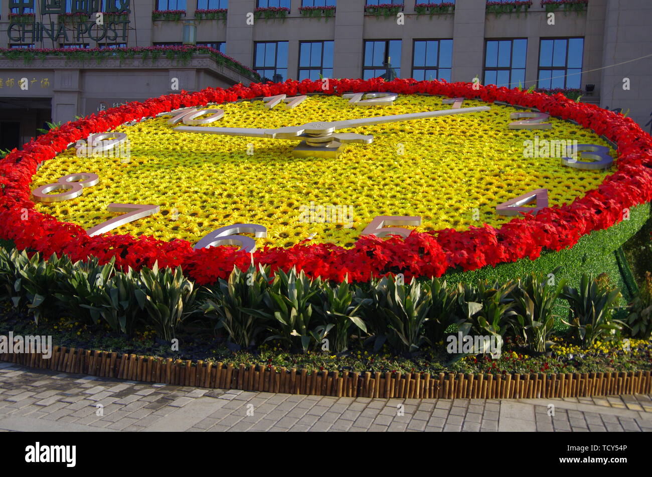 A flower clock consisting of flowers and green plants Stock Photo - Alamy