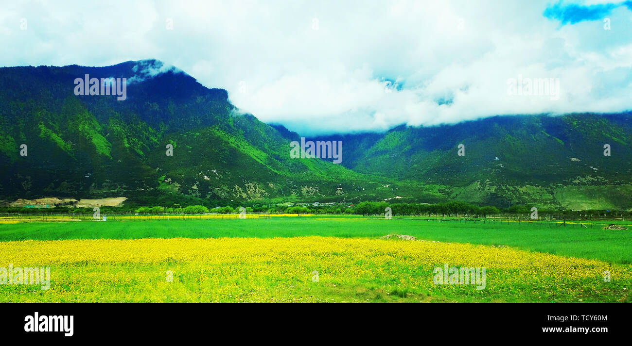 Tibet farms hi-res stock photography and images - Alamy