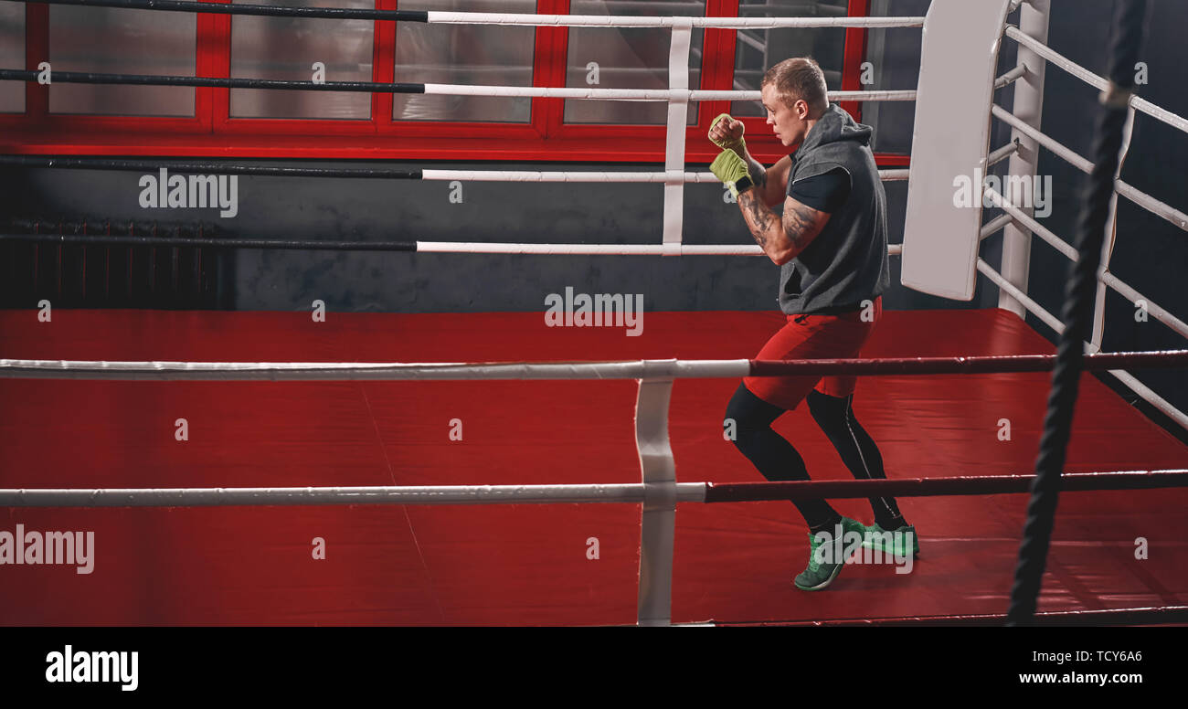 Handsome muscular sportsman in sports clothing training on boxing ring ...