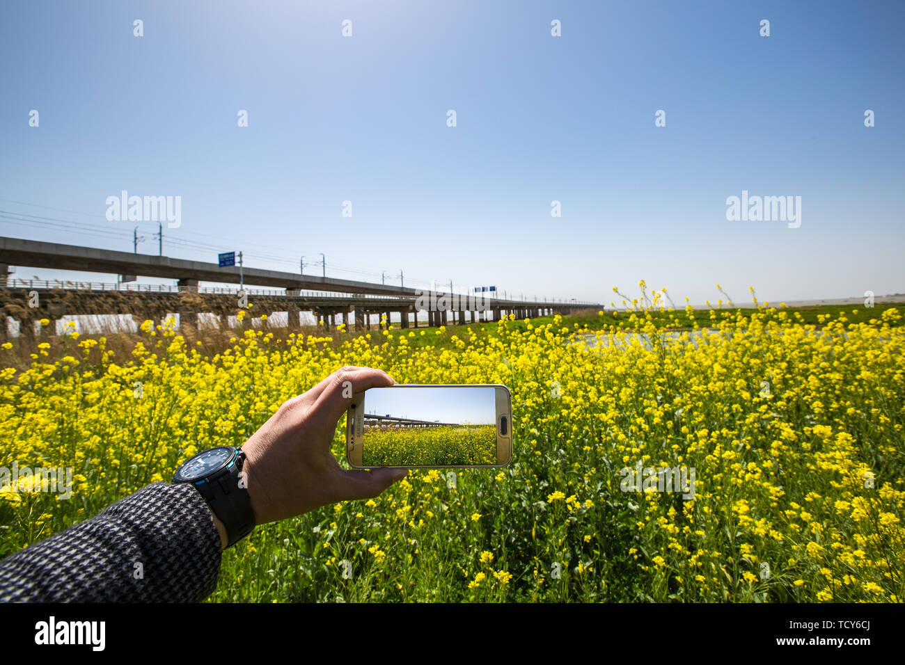 Shijiu lake hi-res stock photography and images - Alamy