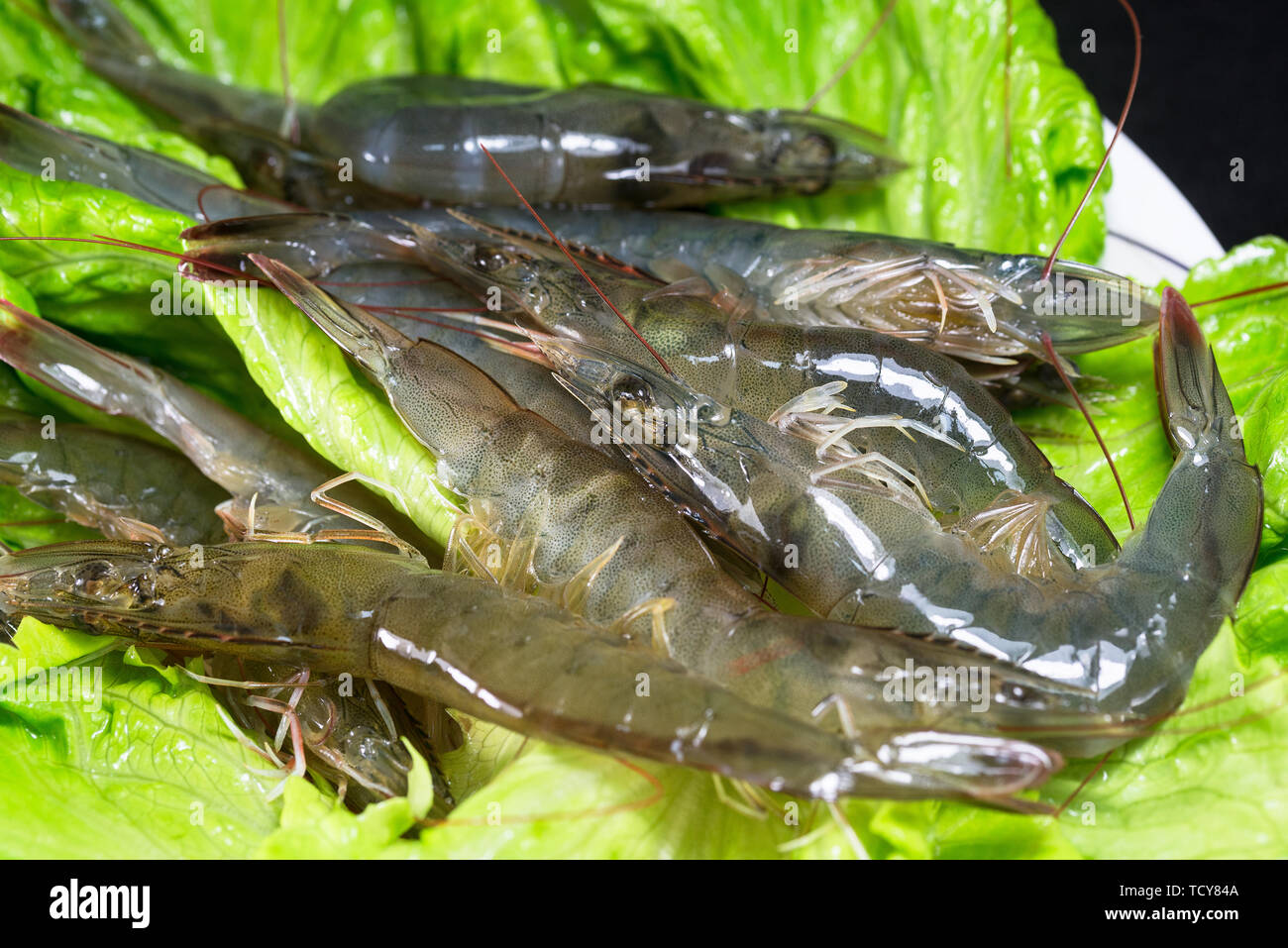 Roche shrimp hi-res stock photography and images - Alamy