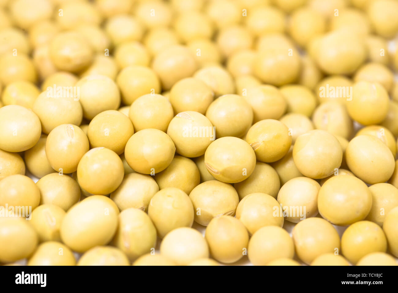 Soybean shoot hi-res stock photography and images - Alamy