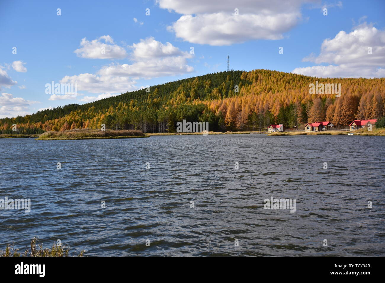Saihanba dam on the prairie hi-res stock photography and images - Alamy