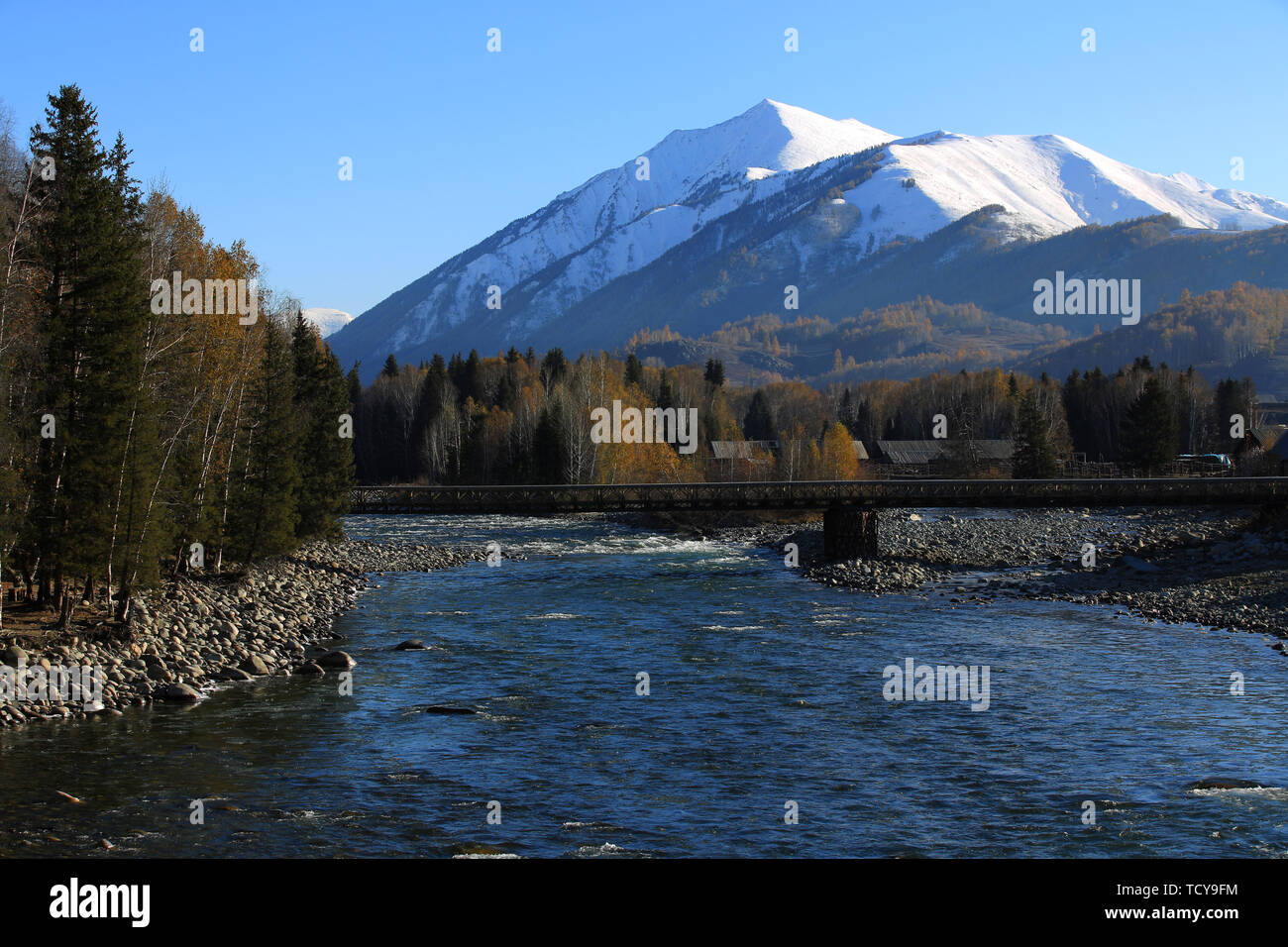 Autumn color of grasses Stock Photo - Alamy