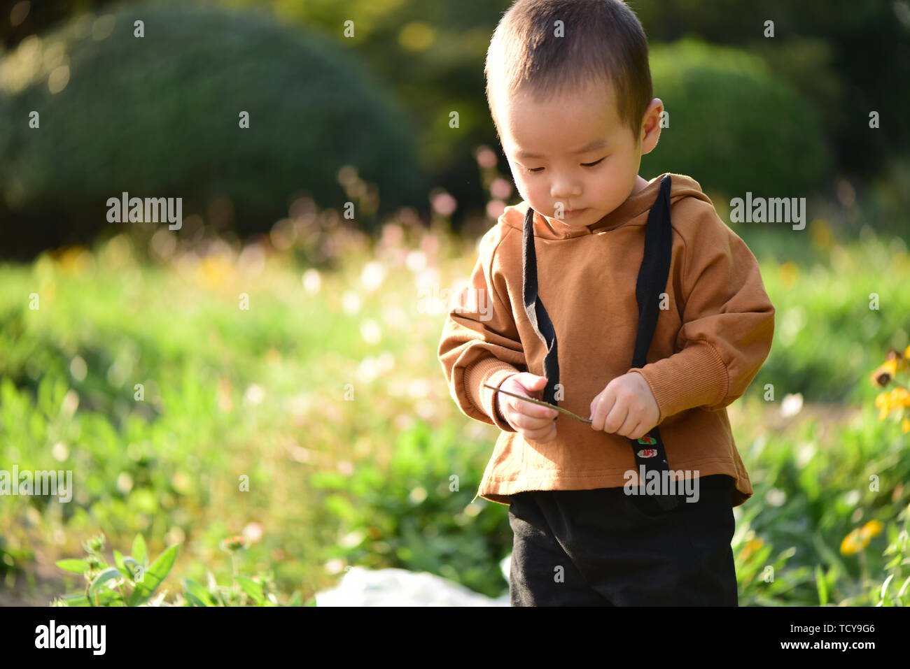 Little boy in the bushes Stock Photo - Alamy