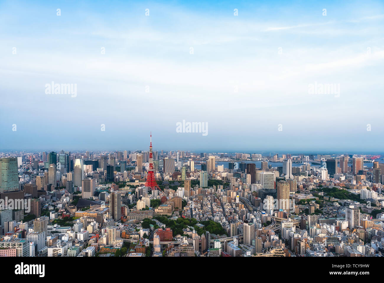 High Perspective of Urban Scenery in Tokyo, Japan Stock Photo - Alamy