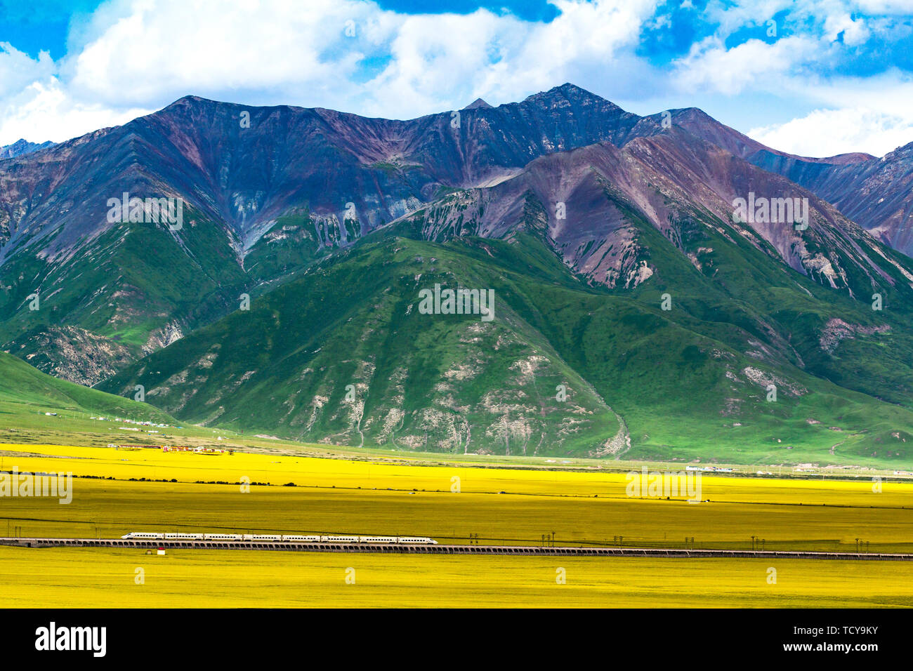 Summer prairie green green yellow scenery natural scenery hi-res stock ...
