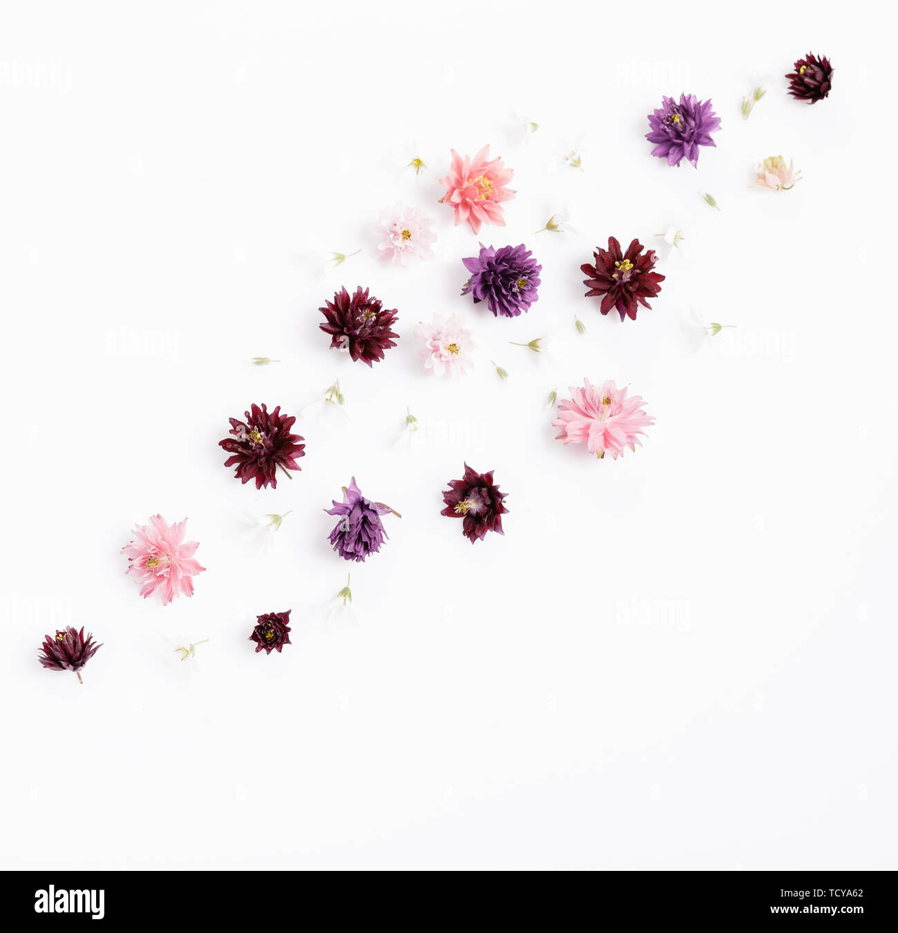 Flower table top view Cut Out Stock Images & Pictures - Alamy