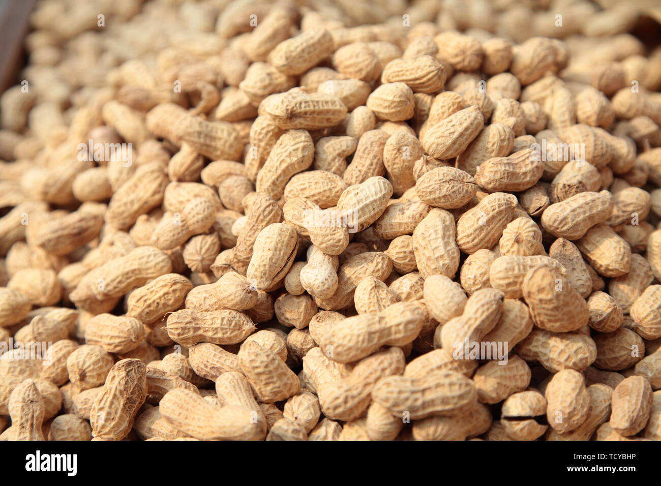 One peanut left hi-res stock photography and images - Alamy