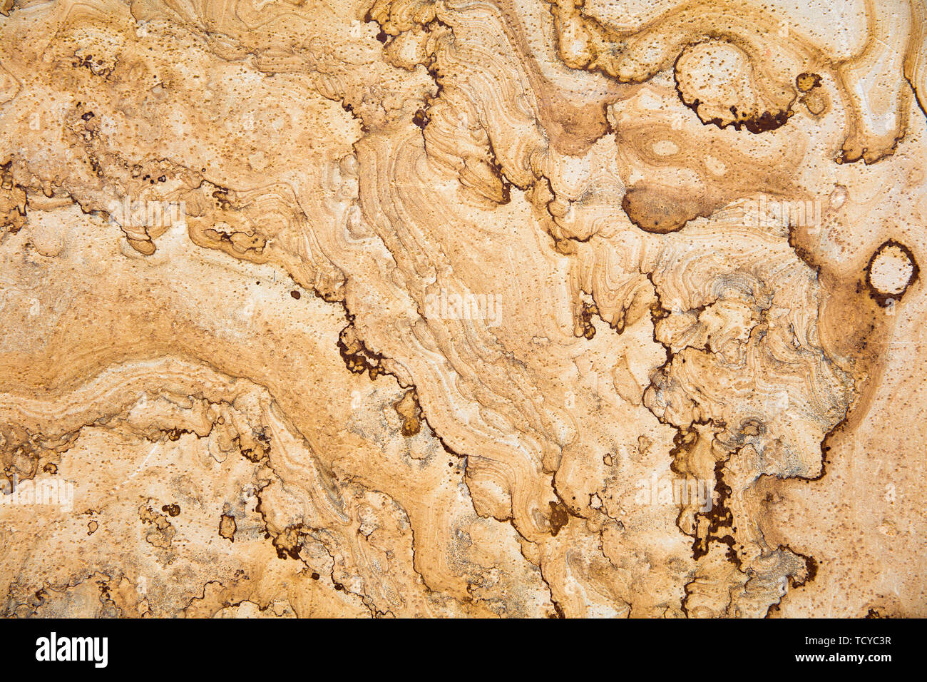 Closeup detail of the natural yellow marble texture background backdrop ...