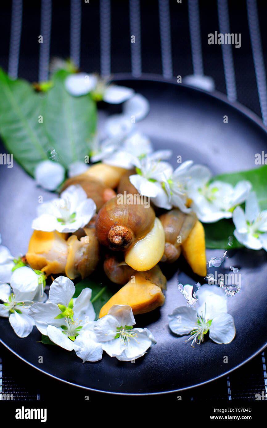 Fake abalone hi-res stock photography and images - Alamy