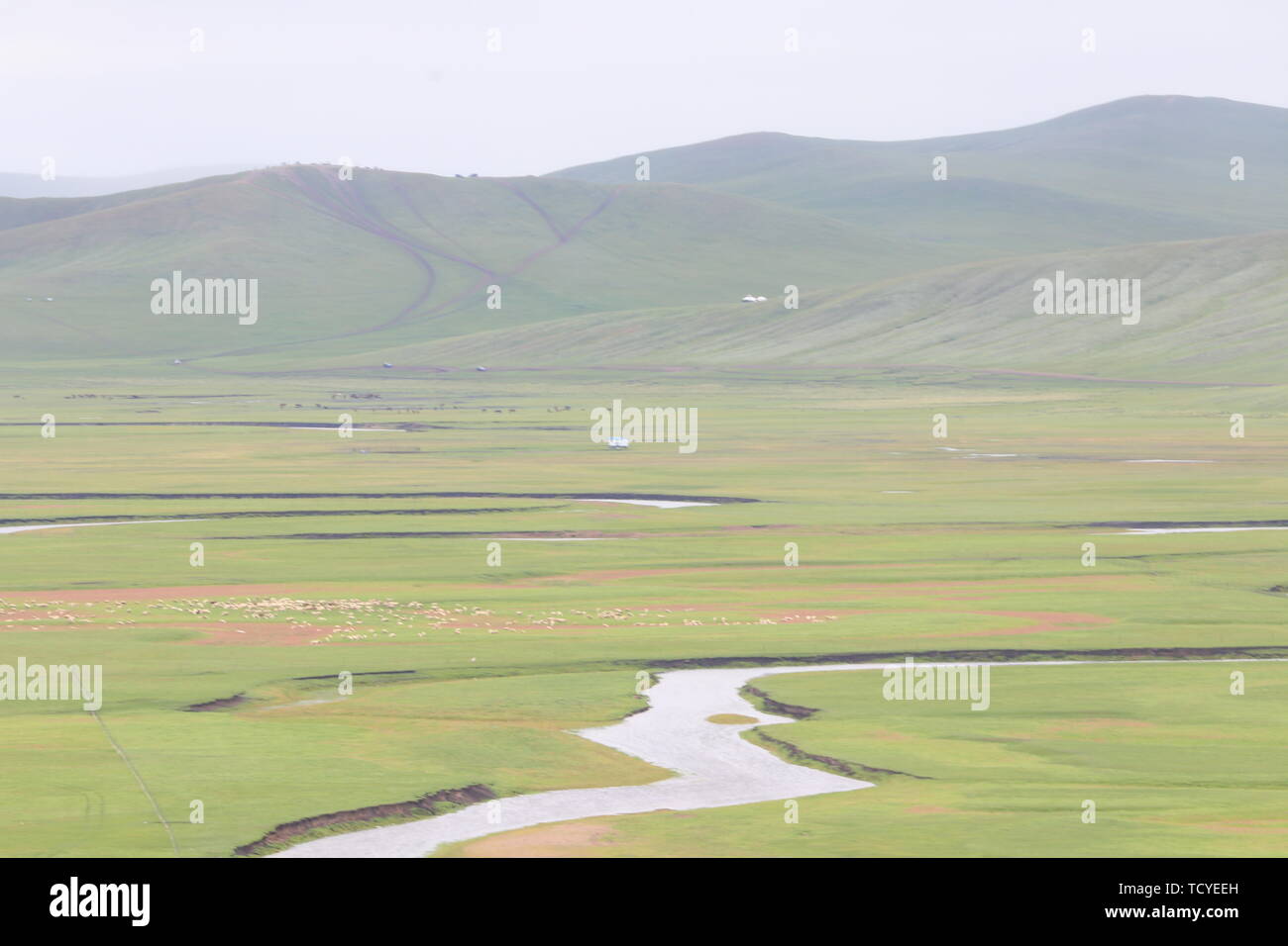 Erguna river erguna river wetland hi-res stock photography and images ...