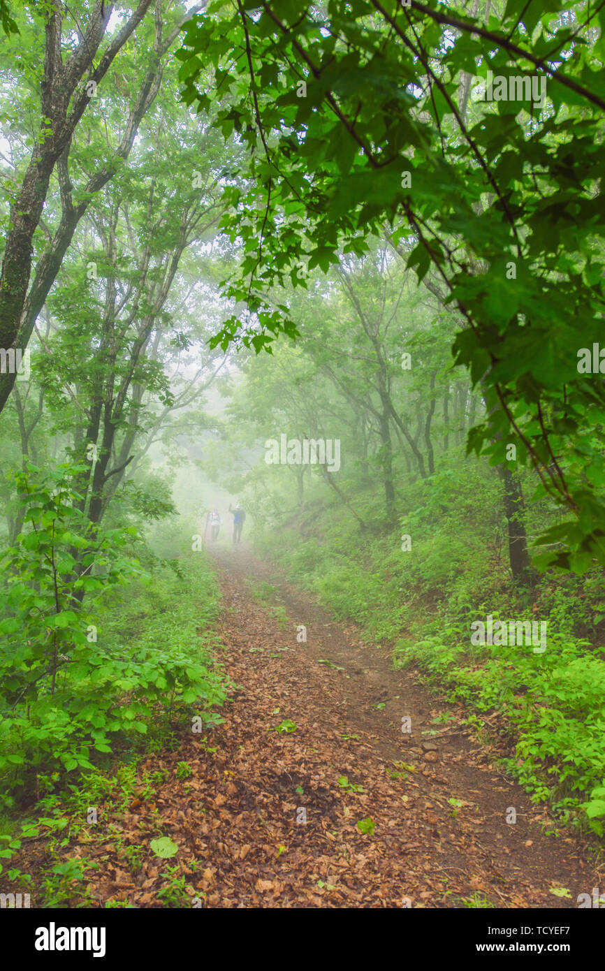 Summer mountain paths hi-res stock photography and images - Alamy