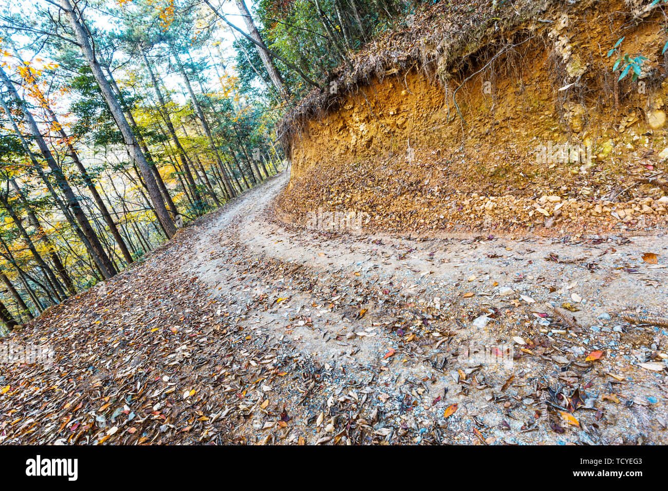 Pathway in the downhill Stock Photo - Alamy