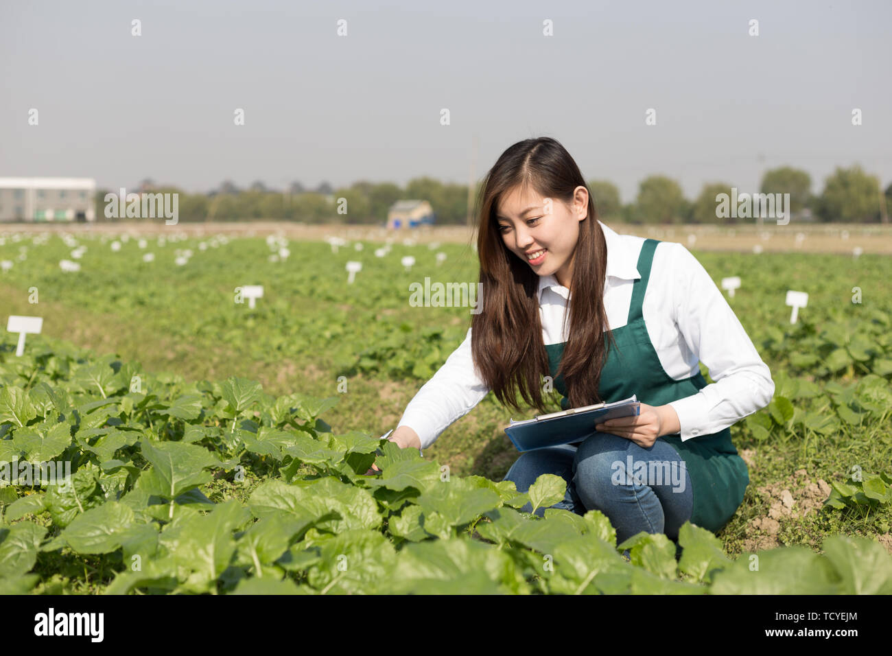 Chinese farm technology hi-res stock photography and images - Alamy
