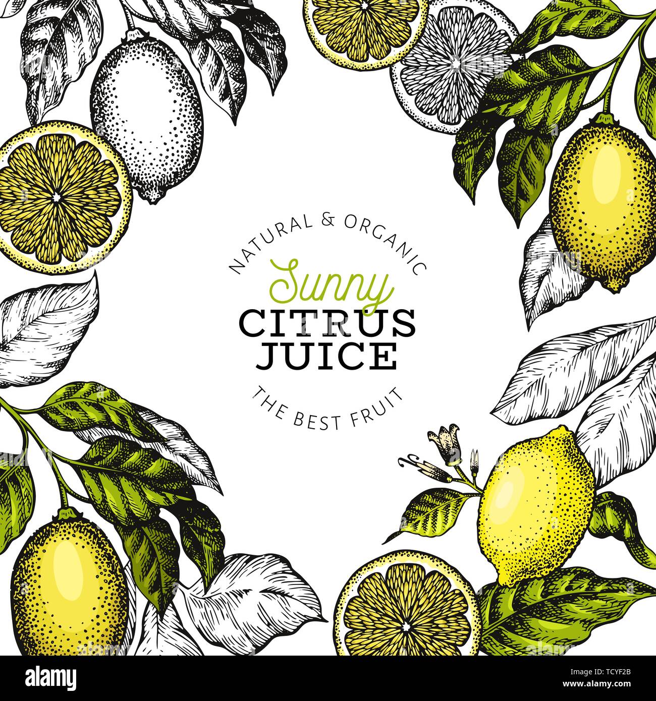 Lemon tree banner template. Hand drawn vector fruit illustration ...