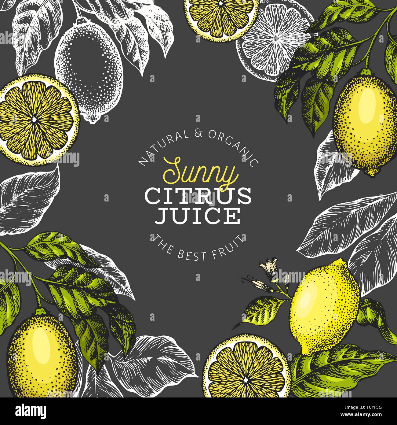 Lemon tree banner template. Hand drawn vector fruit illustration on ...