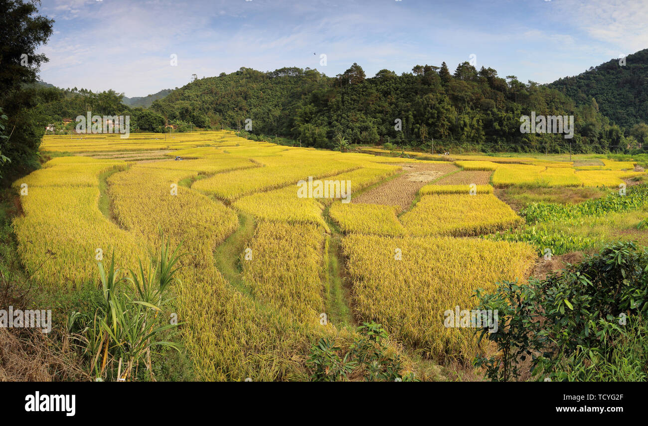Autumn harvest farmland scenery Stock Photo - Alamy