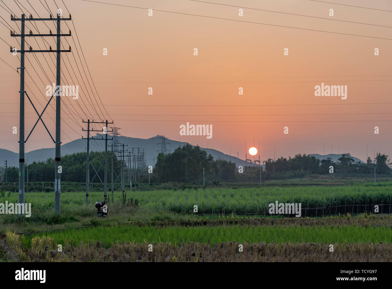 Country pastoral sunset Stock Photo - Alamy