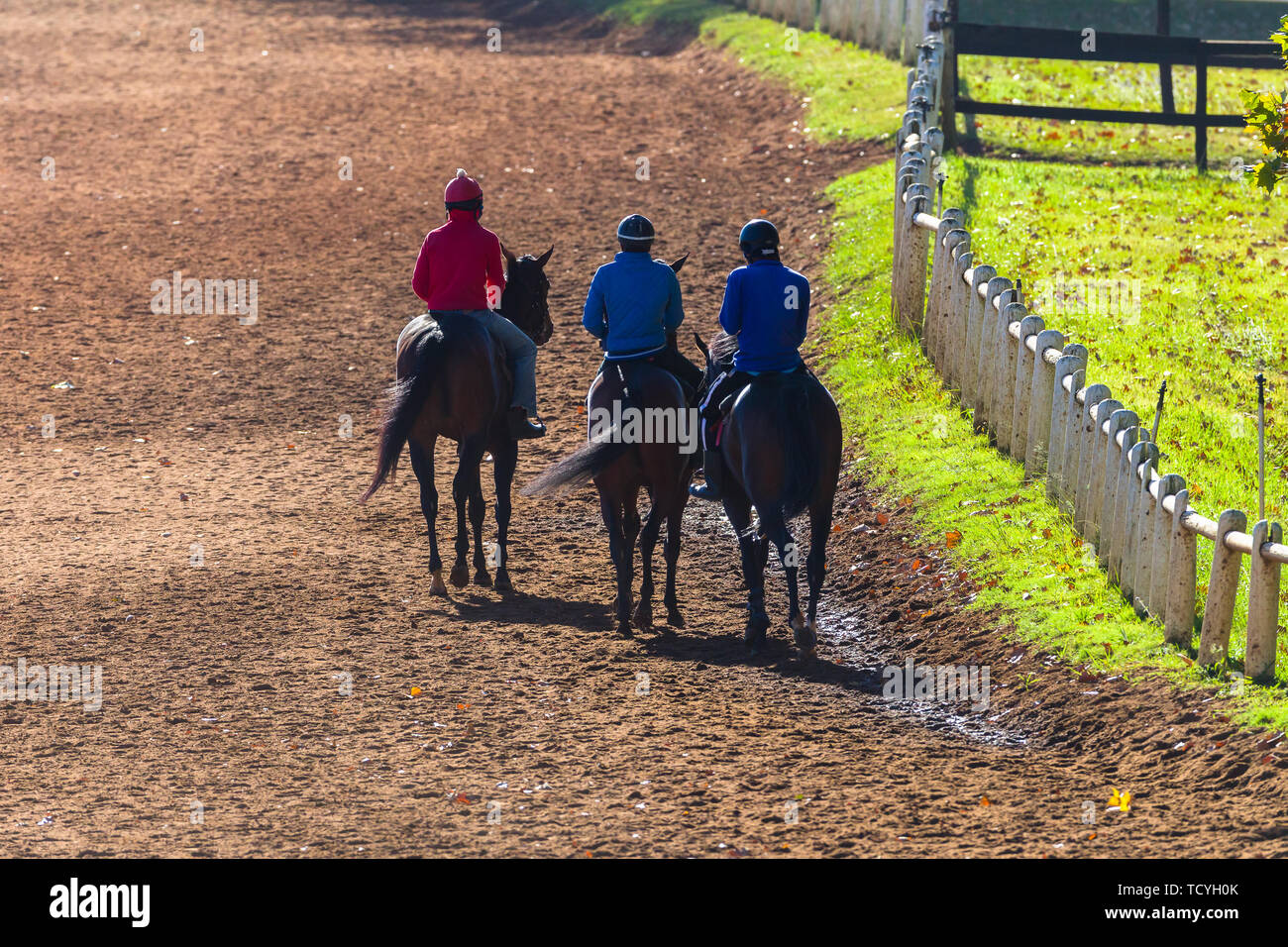 Race horses and riders unidentified silhouetted walking riding going to ...