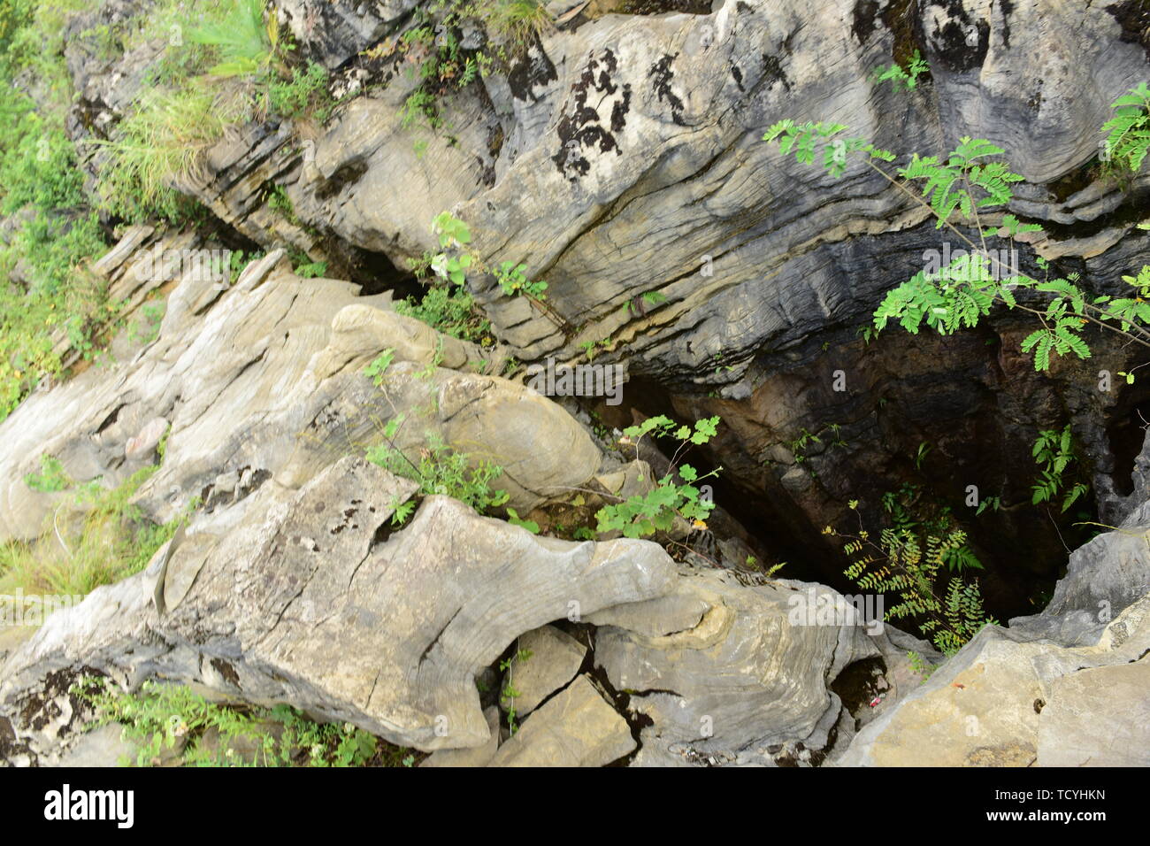 Beautiful stone forest Stock Photo - Alamy