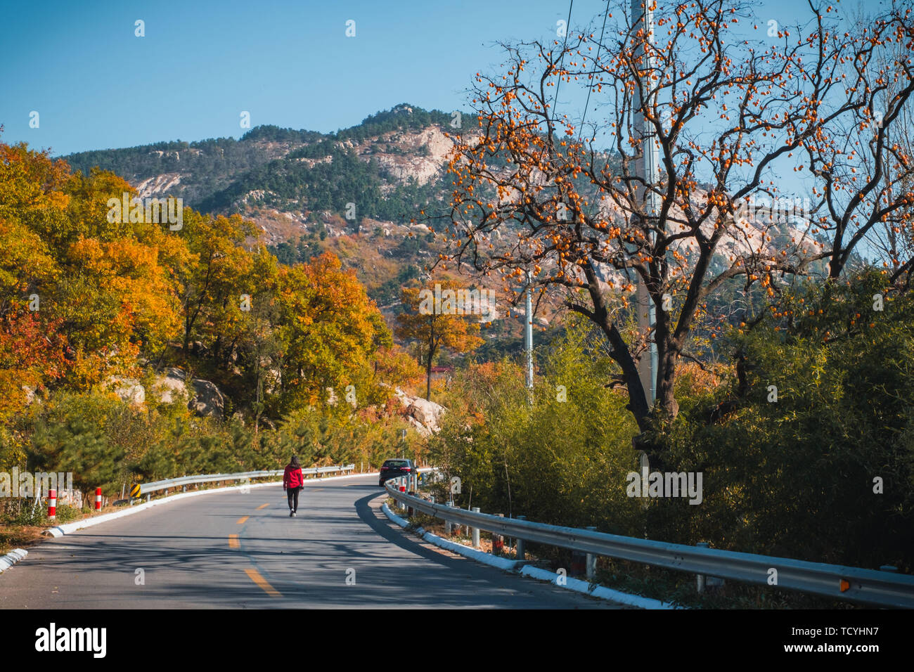 Dawa dawa tree hi-res stock photography and images - Alamy