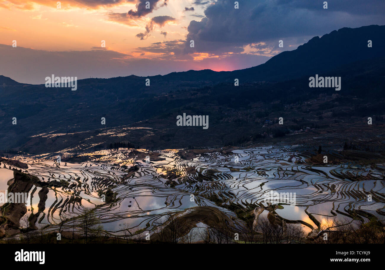 Doyi tree viewing platform hi-res stock photography and images - Alamy