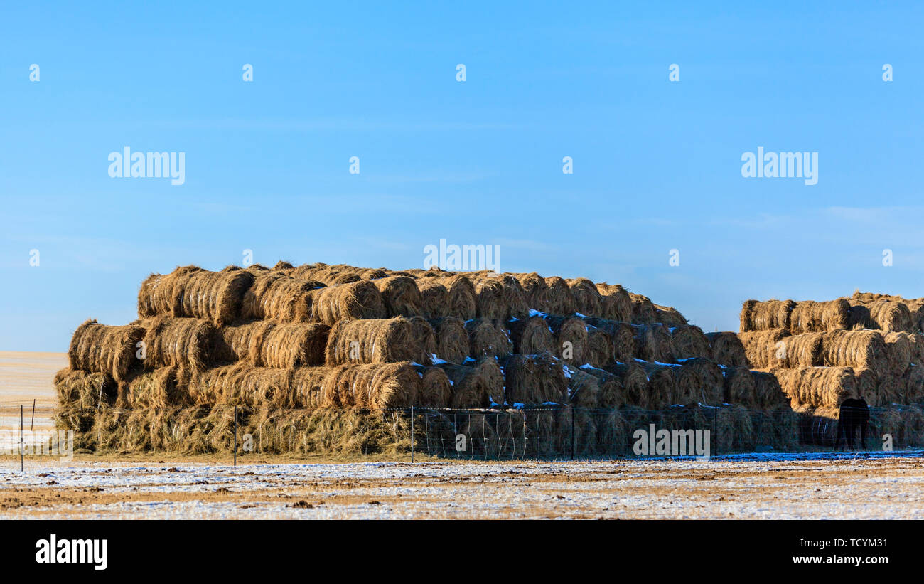Hailar prairie tribe Stock Photo - Alamy