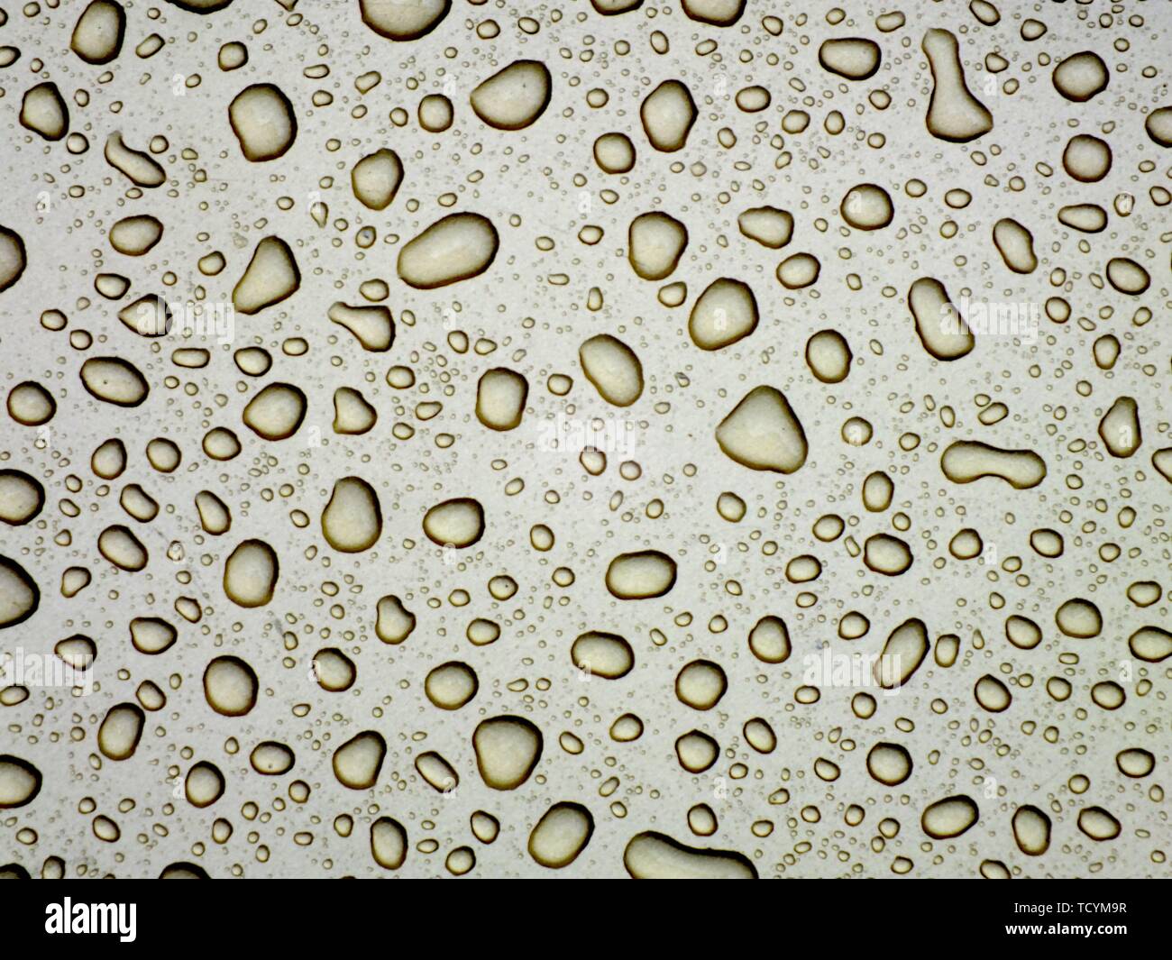 rain, ripple, wet, water, purity, pearl, droplet, liquid, wave, cleaner ...