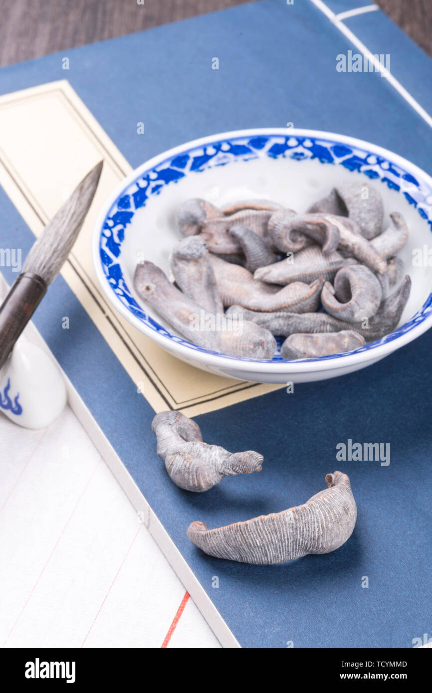 Dry leech hi-res stock photography and images - Alamy