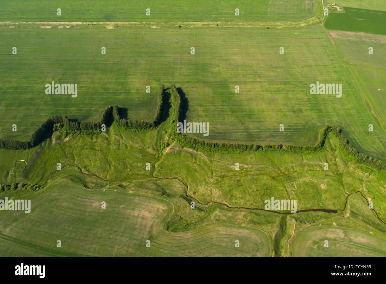 Aerial vast green field view - Agriculture field aerial photo ...