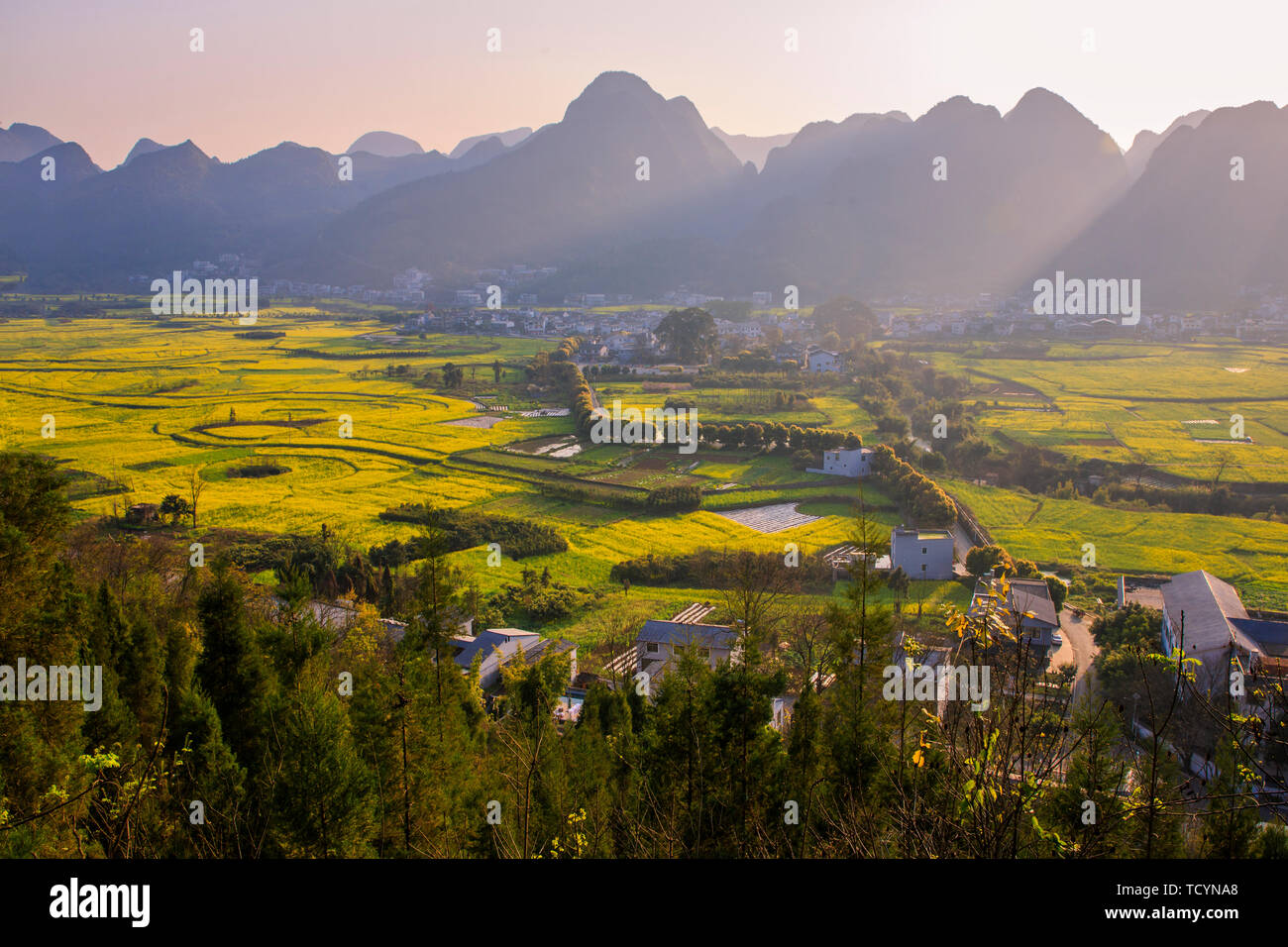 Spring color of Wanfeng forest in Xingyi, Guizhou Stock Photo - Alamy