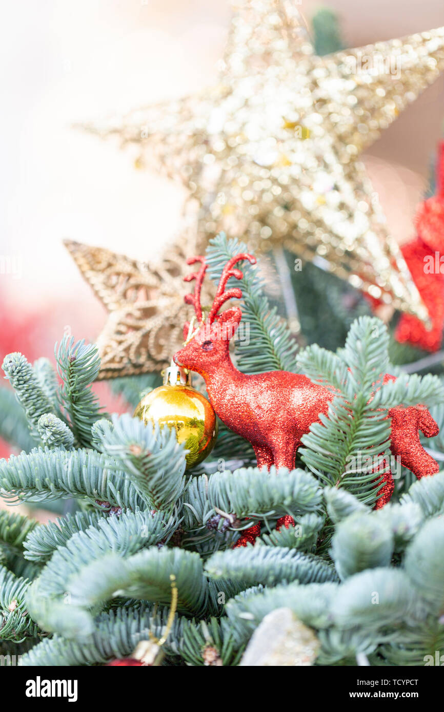 Sharp christmas trees hi-res stock photography and images - Alamy