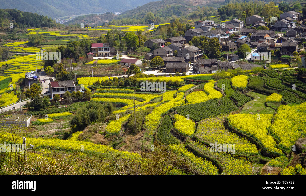 Ninghai county hi-res stock photography and images - Alamy