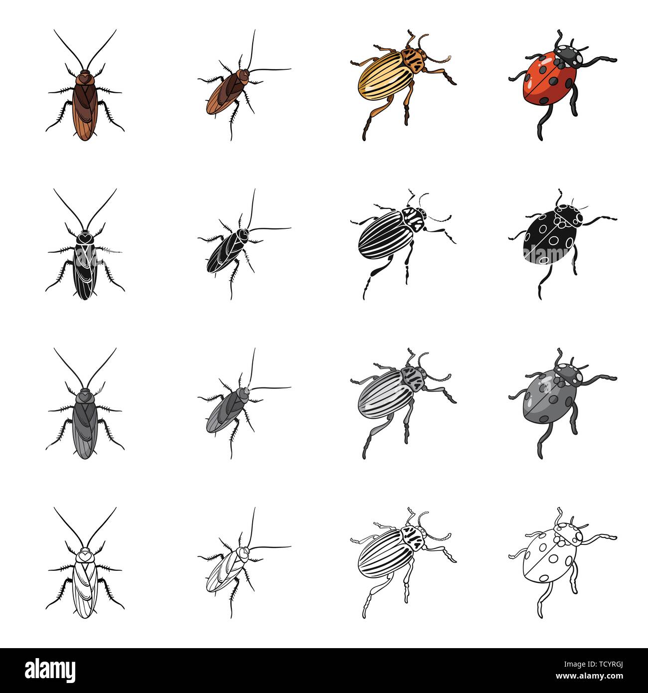horn,ladybug,cockroach,pest,bug,insect,beetle,animal,halloween,drawn ...