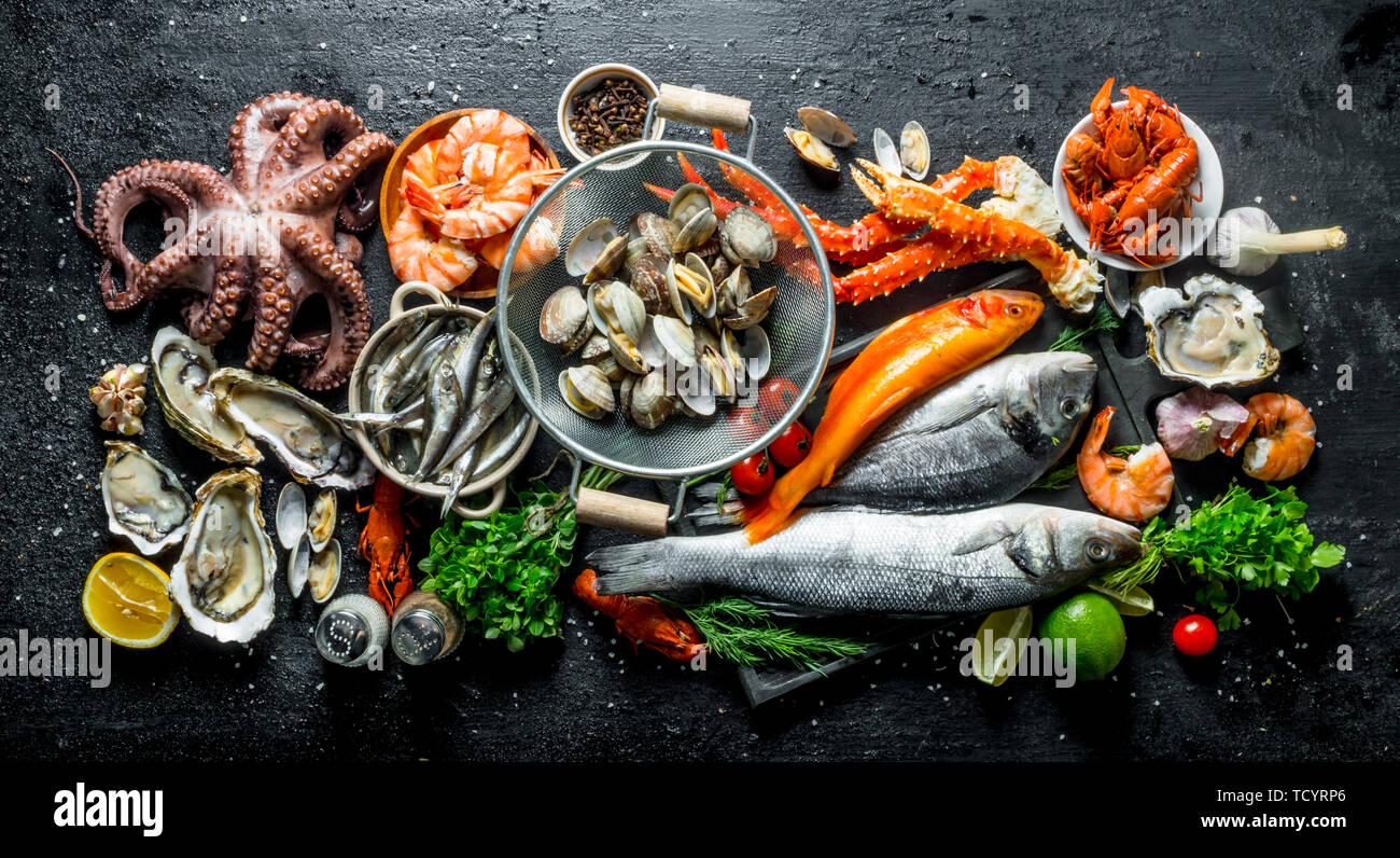 Shellfish Assortment High Resolution Stock Photography and Images - Alamy