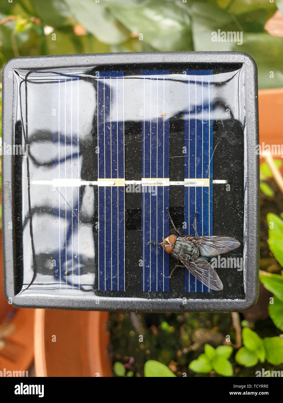 Close aerial view solar panels hi-res stock photography and images - Alamy