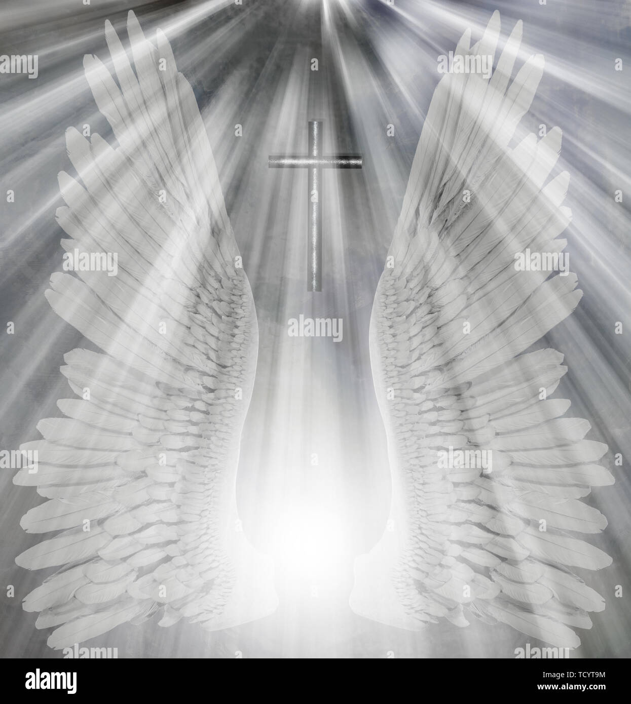 Angel wings and shining holy light Stock Photo - Alamy