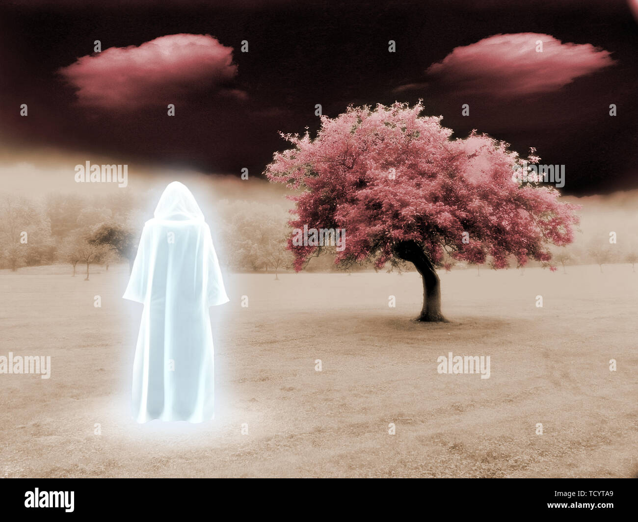White Monk in surreal landscape Stock Photo - Alamy