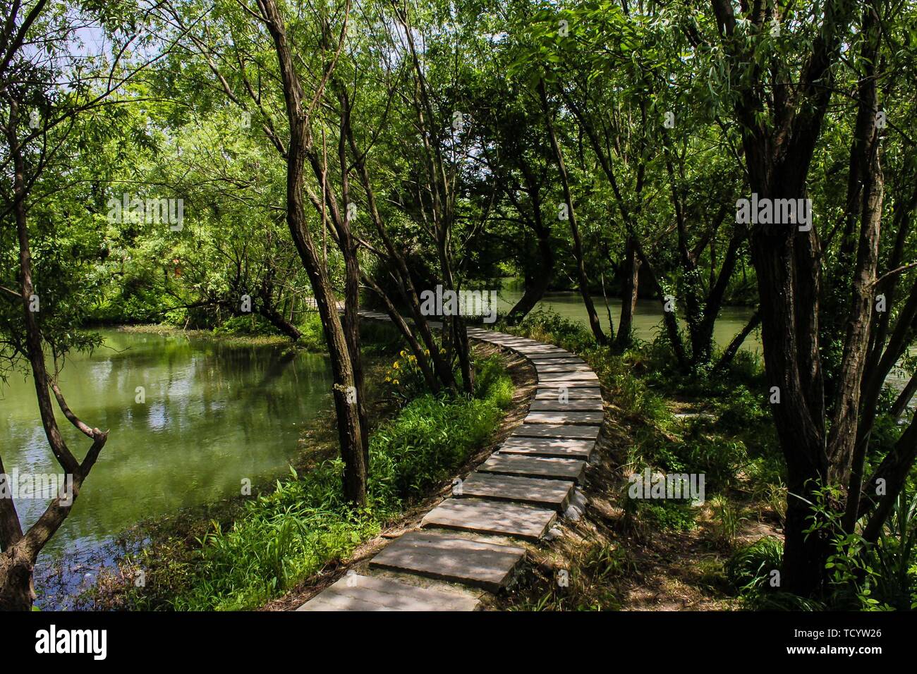 Scenery of Xixi Wetland Park in Hangzhou Stock Photo - Alamy