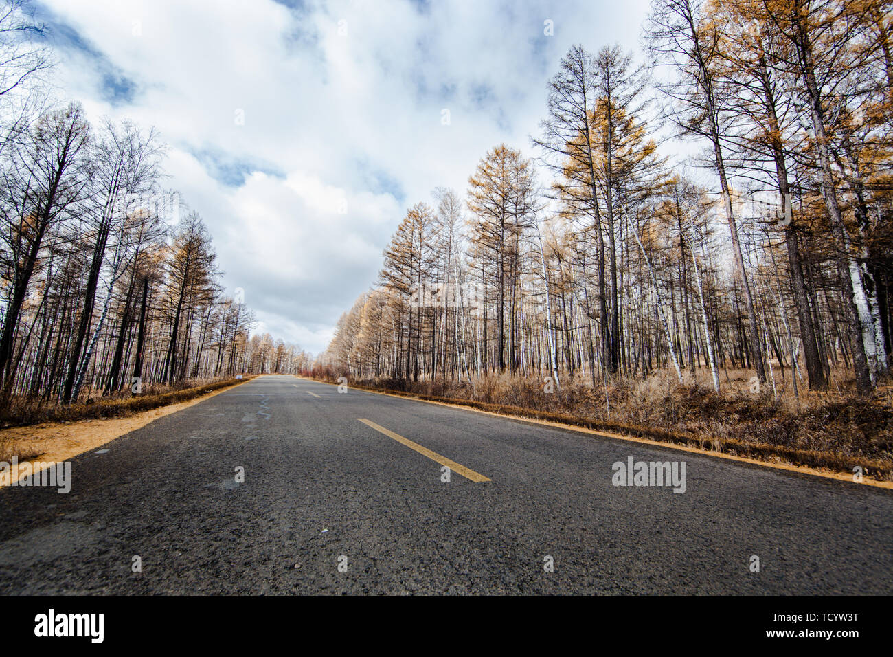 Road landscape no one to travel expressway guide sky asphalt hi-res ...