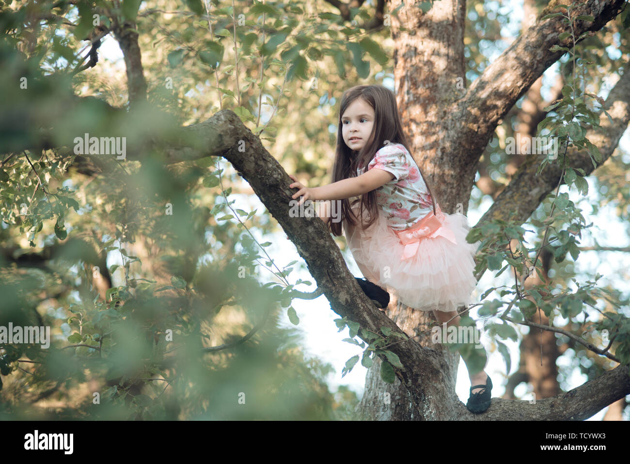 Little girl sit on tree, active child, freedom Stock Photo - Alamy