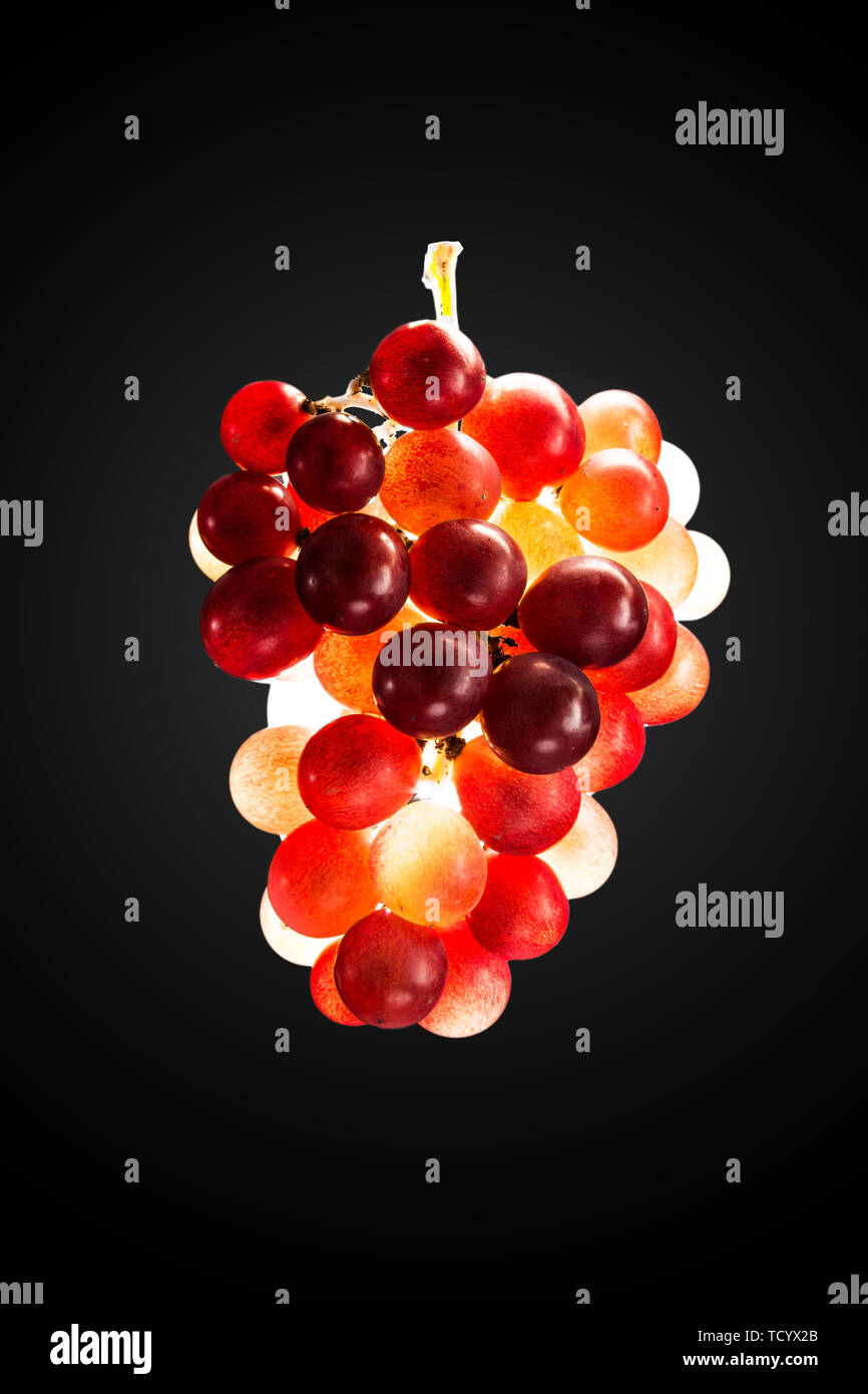 Take close shot grapes hi-res stock photography and images - Alamy