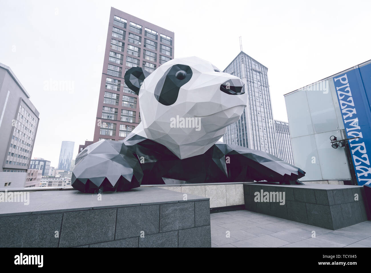 Giant panda front Stock Photo - Alamy