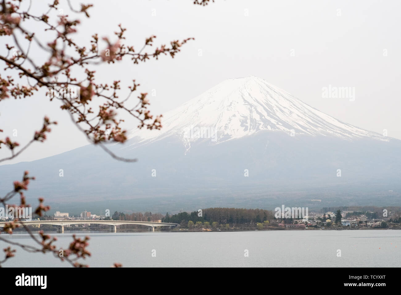 Fuji mountain in summer, Japan Stock Photo - Alamy