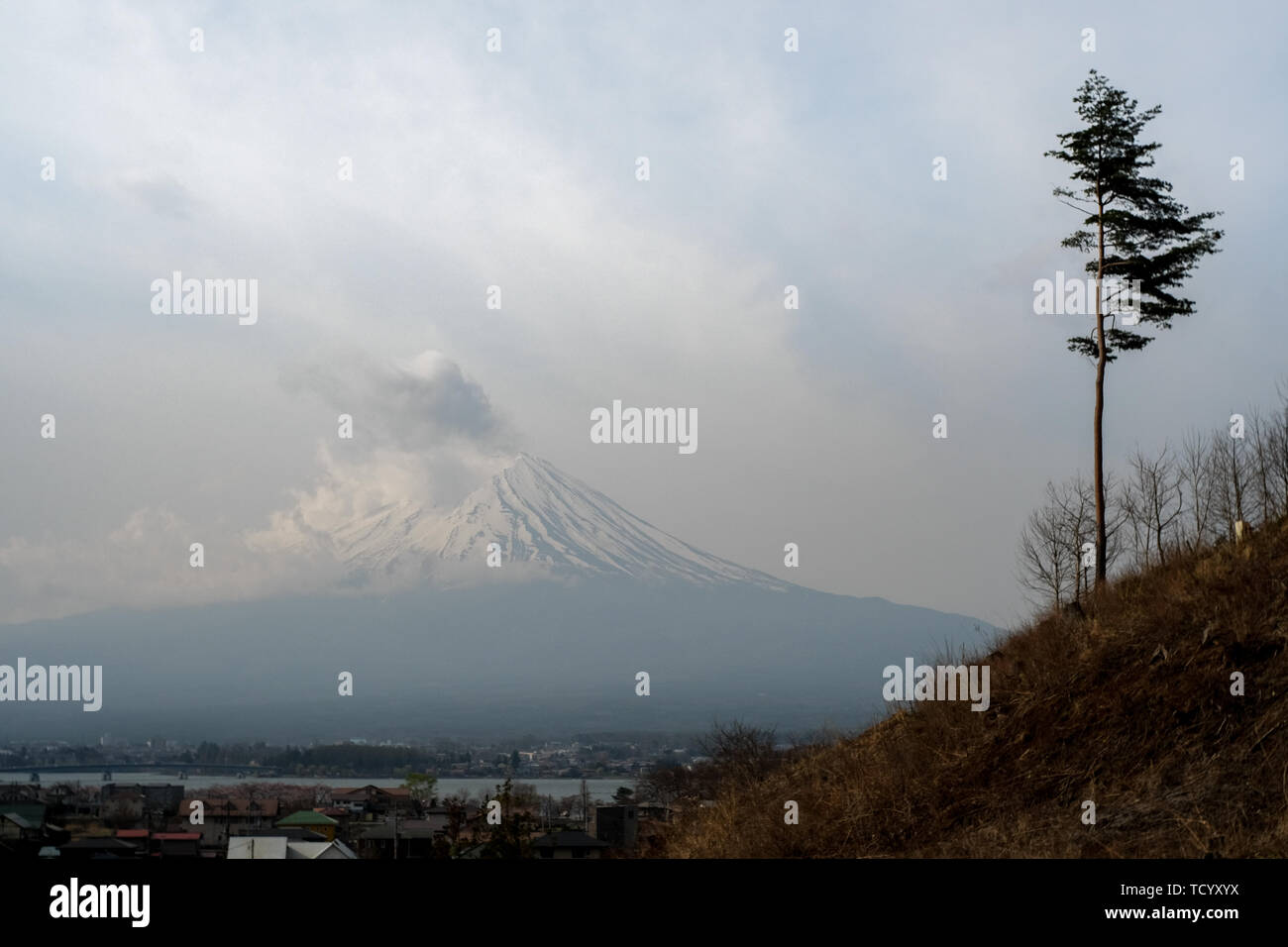 Fuji mountain in summer, Japan Stock Photo - Alamy
